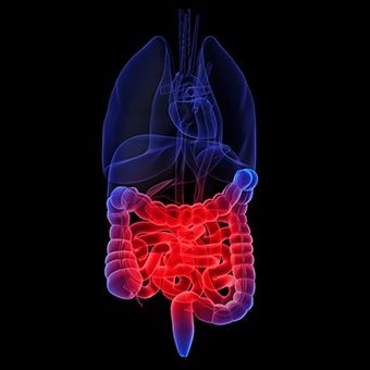 Kolon ve Rektum Kanseri Tanısı Nasıl Konulur?